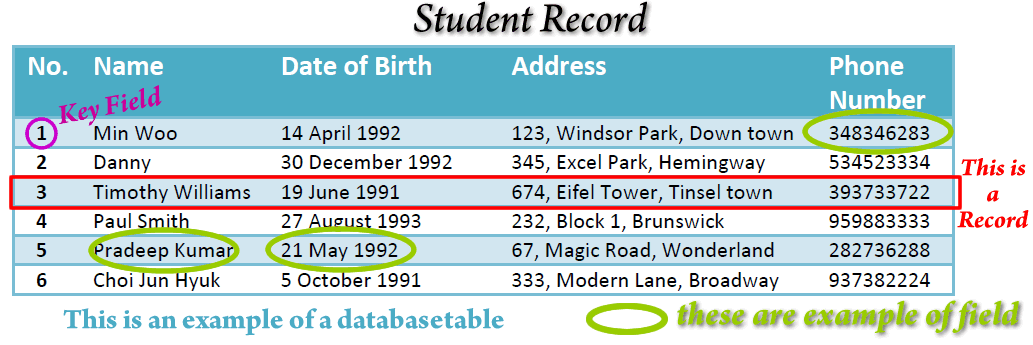 Igcse Ict Database Terminology